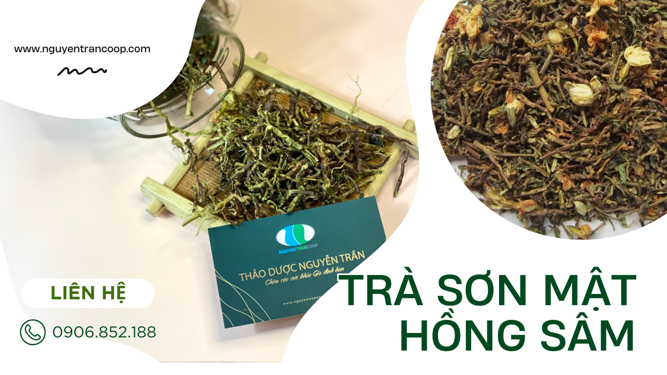 Trà Sơn Mật Hồng Sâm: Công Dụng và Cách Dùng Cho Sức Khỏe